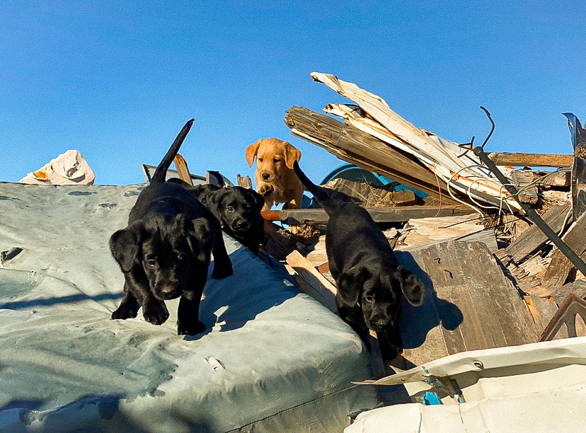 Ground Zero Emergency Training Center — Chive Charities