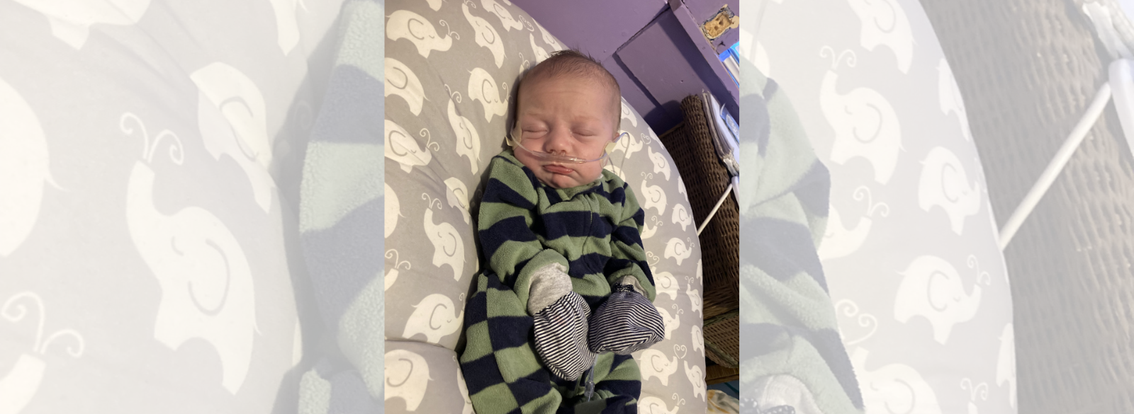 Evan M. — Chive Charities