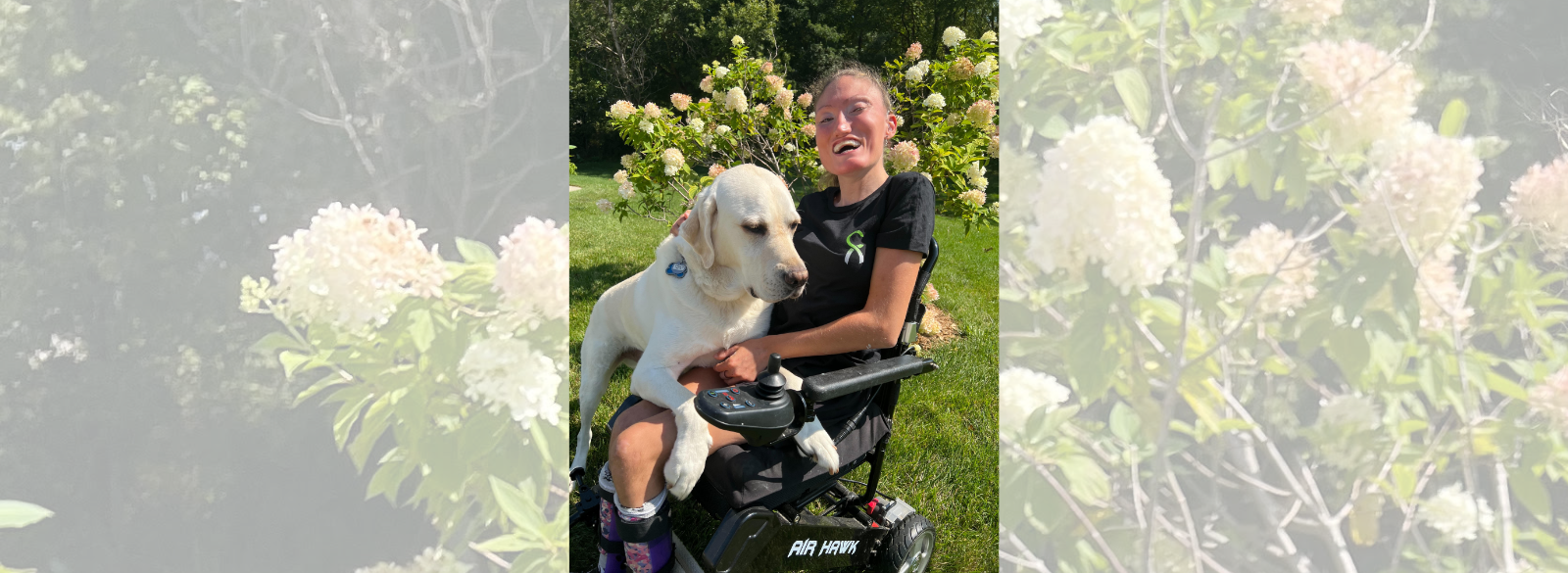 Amanda L. — Chive Charities