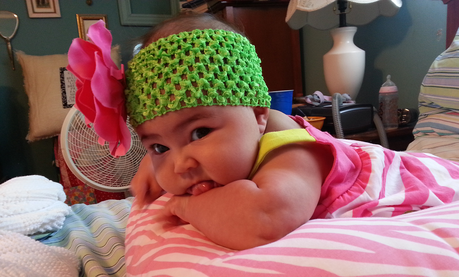 Judith A. — Chive Charities