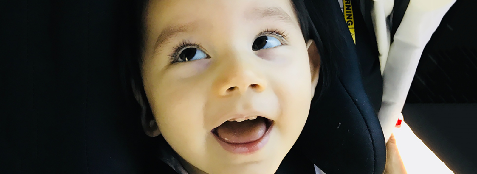 Natalie J. — Chive Charities